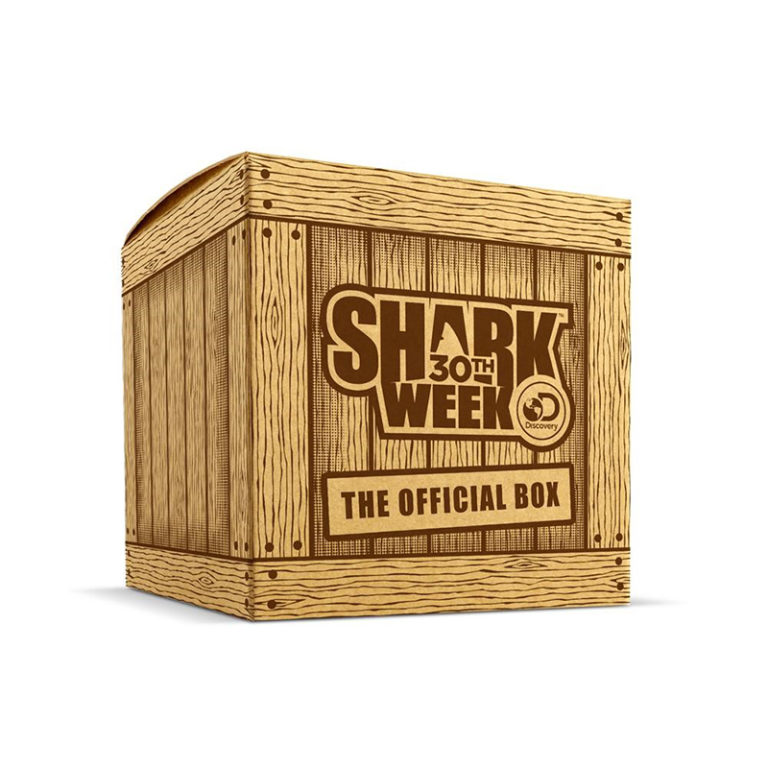 How to Throw a Shark Extravaganza for Shark Week! | Fin Fun Blog