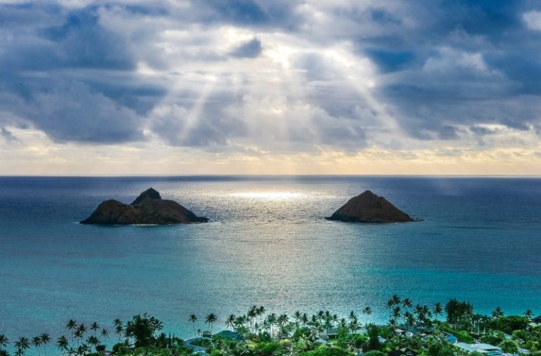 Most Popular Mermaid Sightings In The Last 100 Years